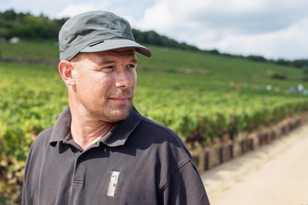 Burgundy 2017: Domaine Virgile Lignier-Michelot