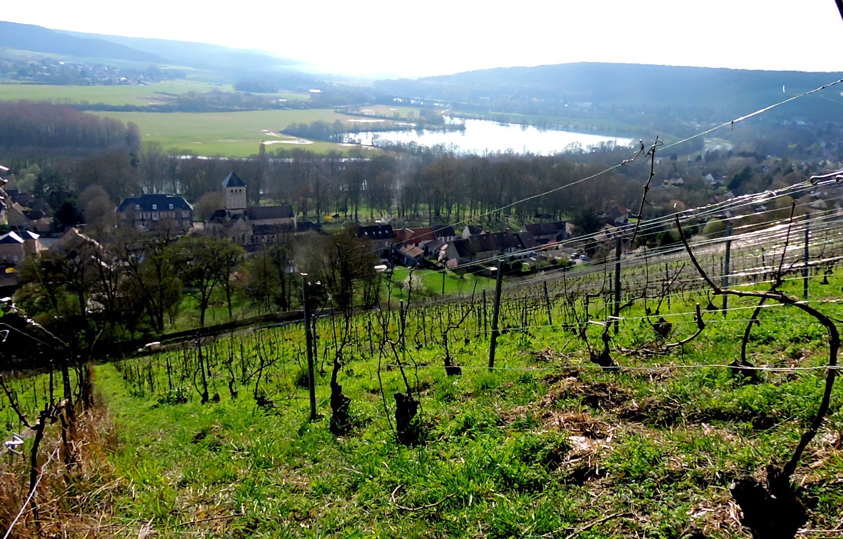 Champagne La Parcelle's new releases - 100% Meunier magic