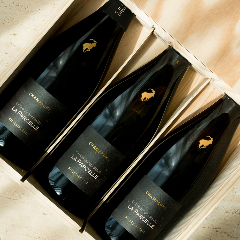 Champagne La Parcelle's new releases - 100% Meunier magic